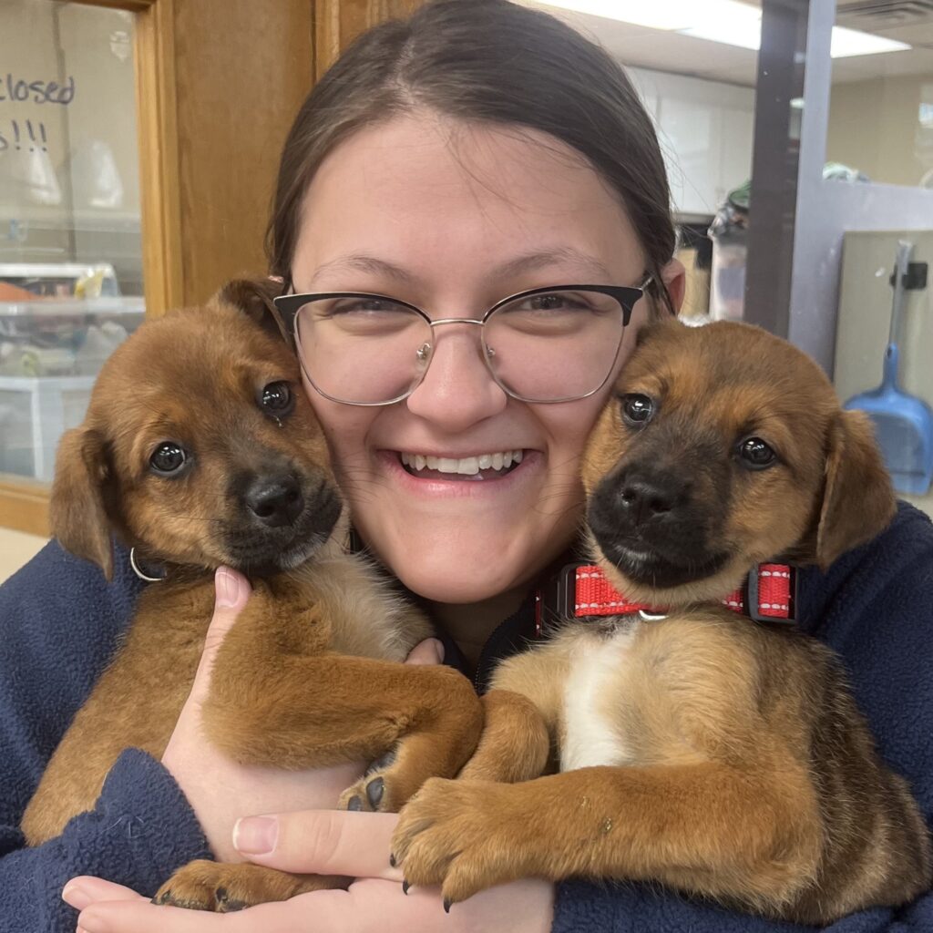 Isthmus Veterinary + Care